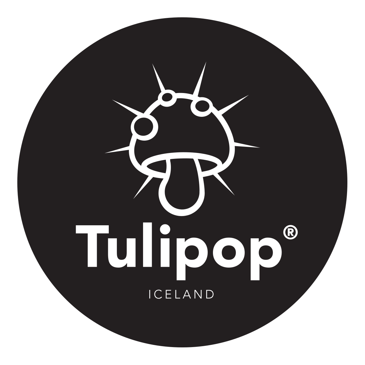 Icelandic lifestyle brand Tulipop wins at Cartoon Forum